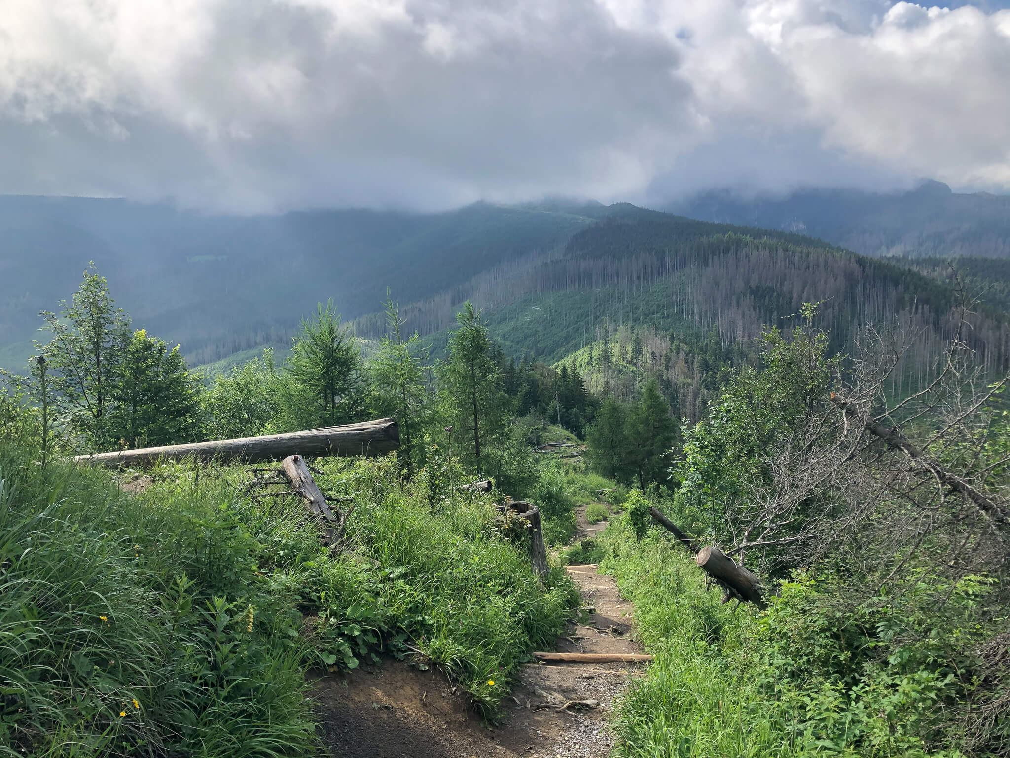 Szlak na Nosal - Tatry Zachodnie - MOJA PODRÓŻ